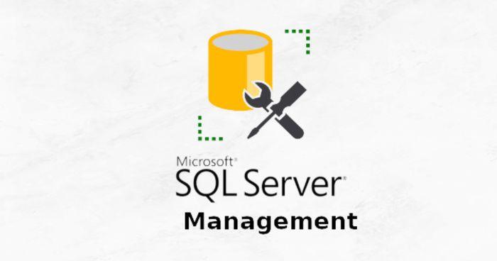 How to use Microsoft SQL Server Management Studio in Plesk